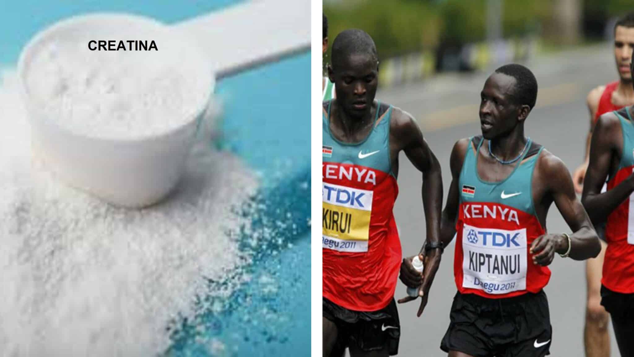 Efectos de la suplementación con creatina sobre el rendimiento aeróbico ...